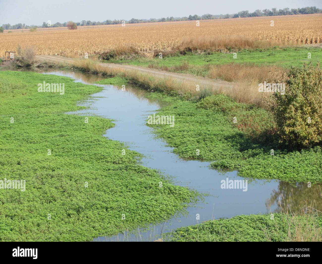 Knights landing hi-res stock photography and images - Alamy