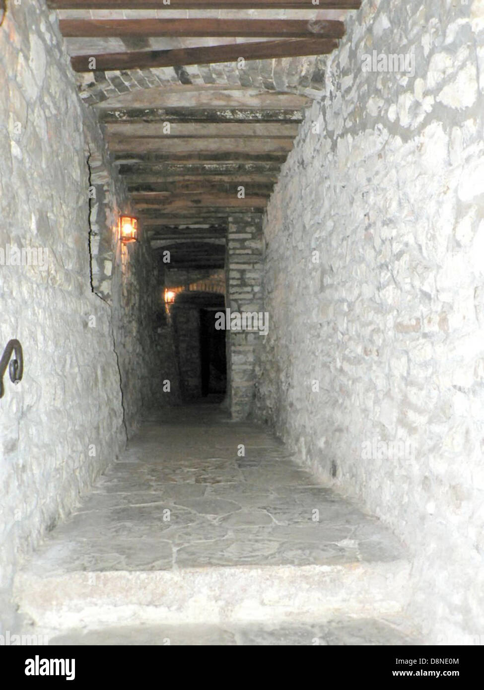 A vineyard cellar is shown, filled with rows of barrels used for aging ...