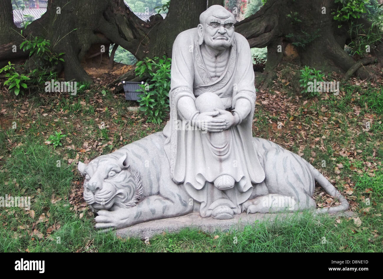 Crouching tiger buddha statue for praying. Concept of chinese prayer ...