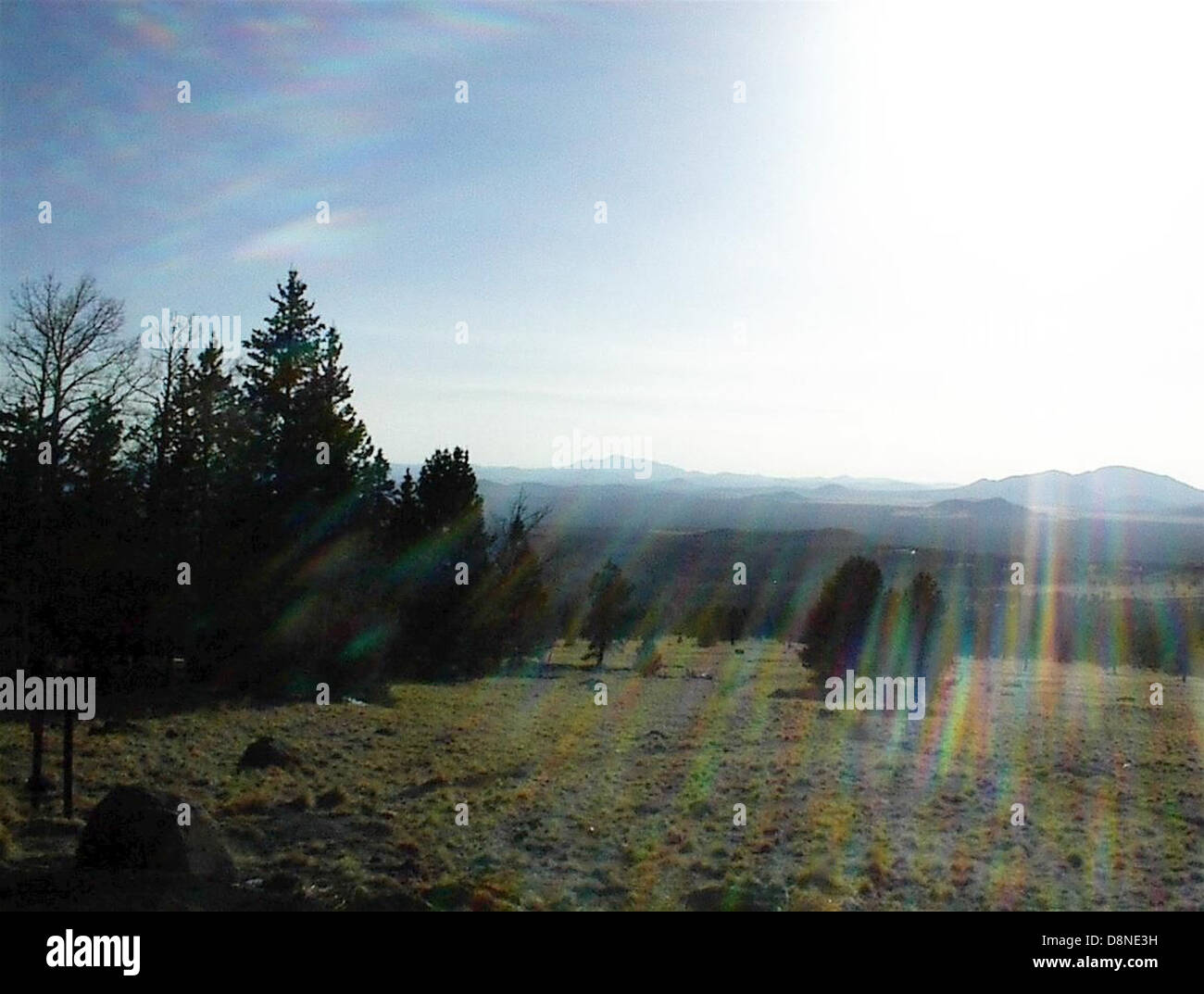 A volcanic landscape surrounded by a meadow, featuring rugged lava ...