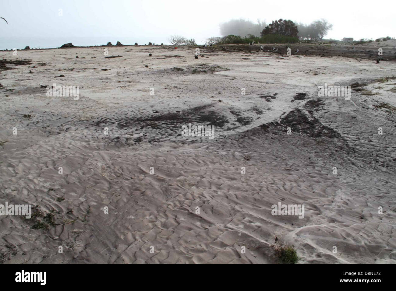 Washed over area of sand on beach Stock Photo - Alamy
