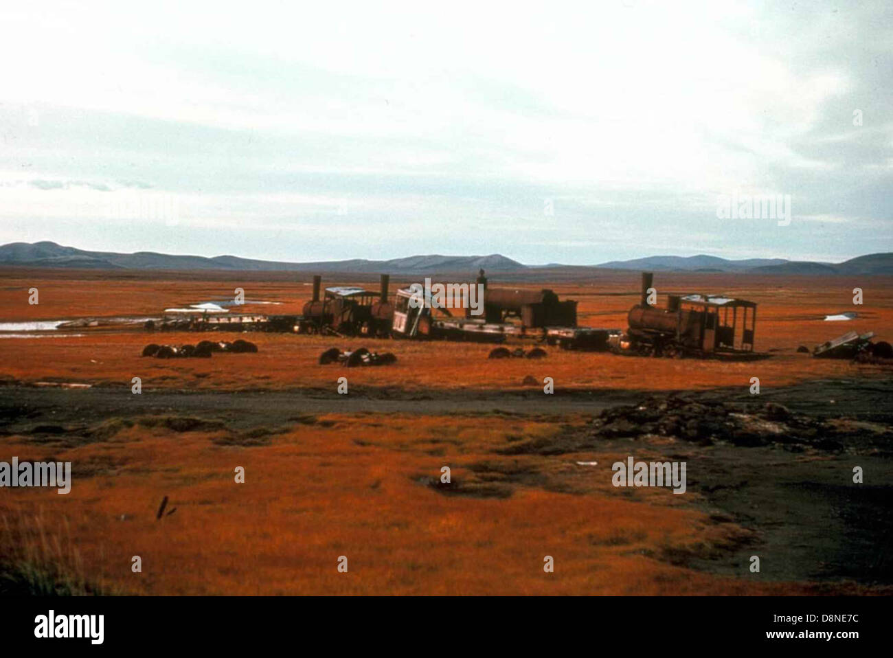 A large junkyard featuring decommissioned trains, with several rusted ...