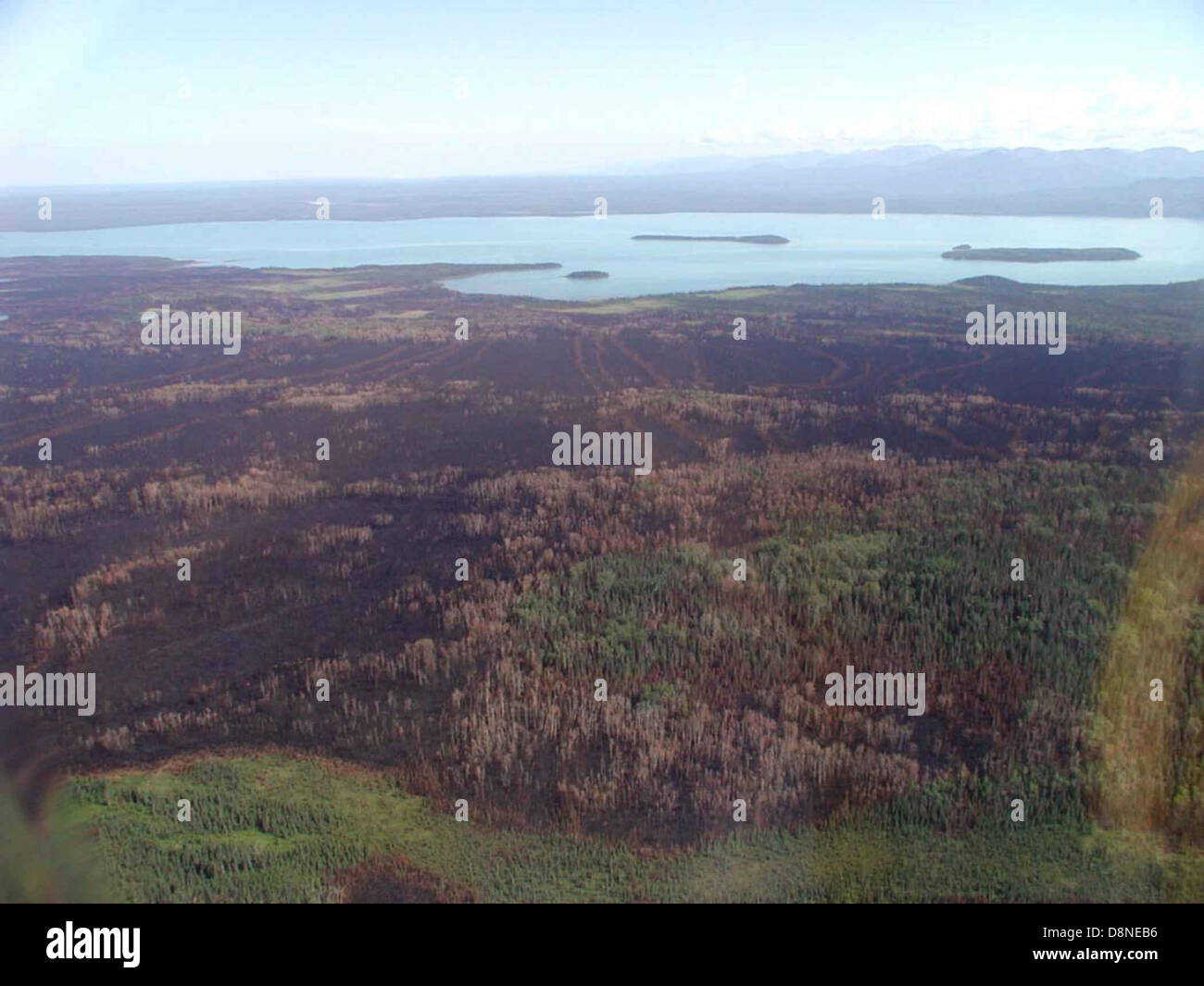 An aerial view of a burned area, showing the extent of damage caused by ...