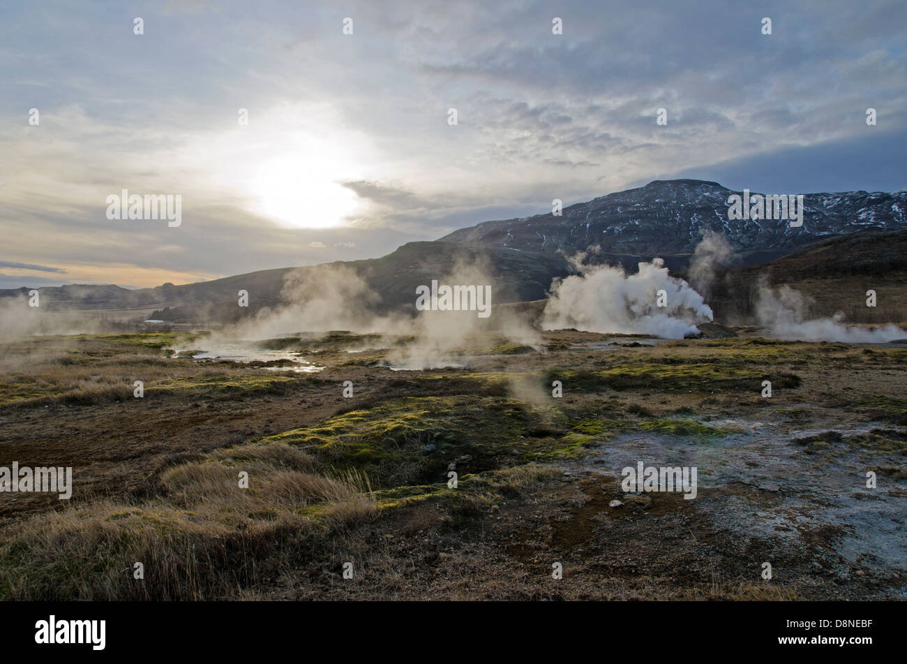 Small geysers steaming, Iceland Stock Photo - Alamy