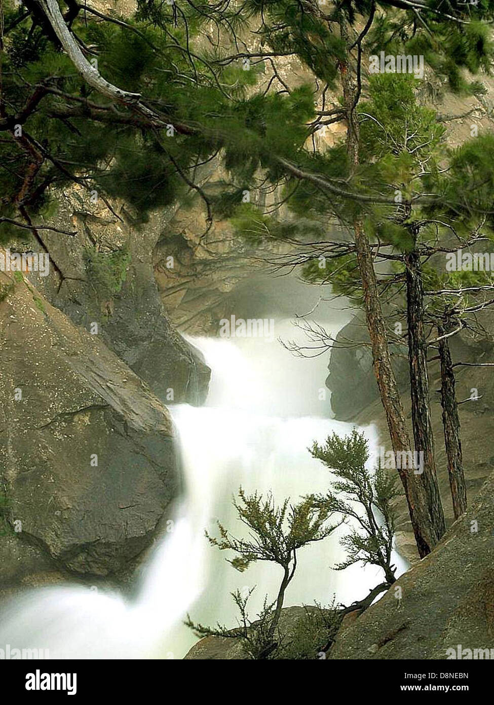 Waterfalls flow through a dense forest, surrounded by lush greenery and ...