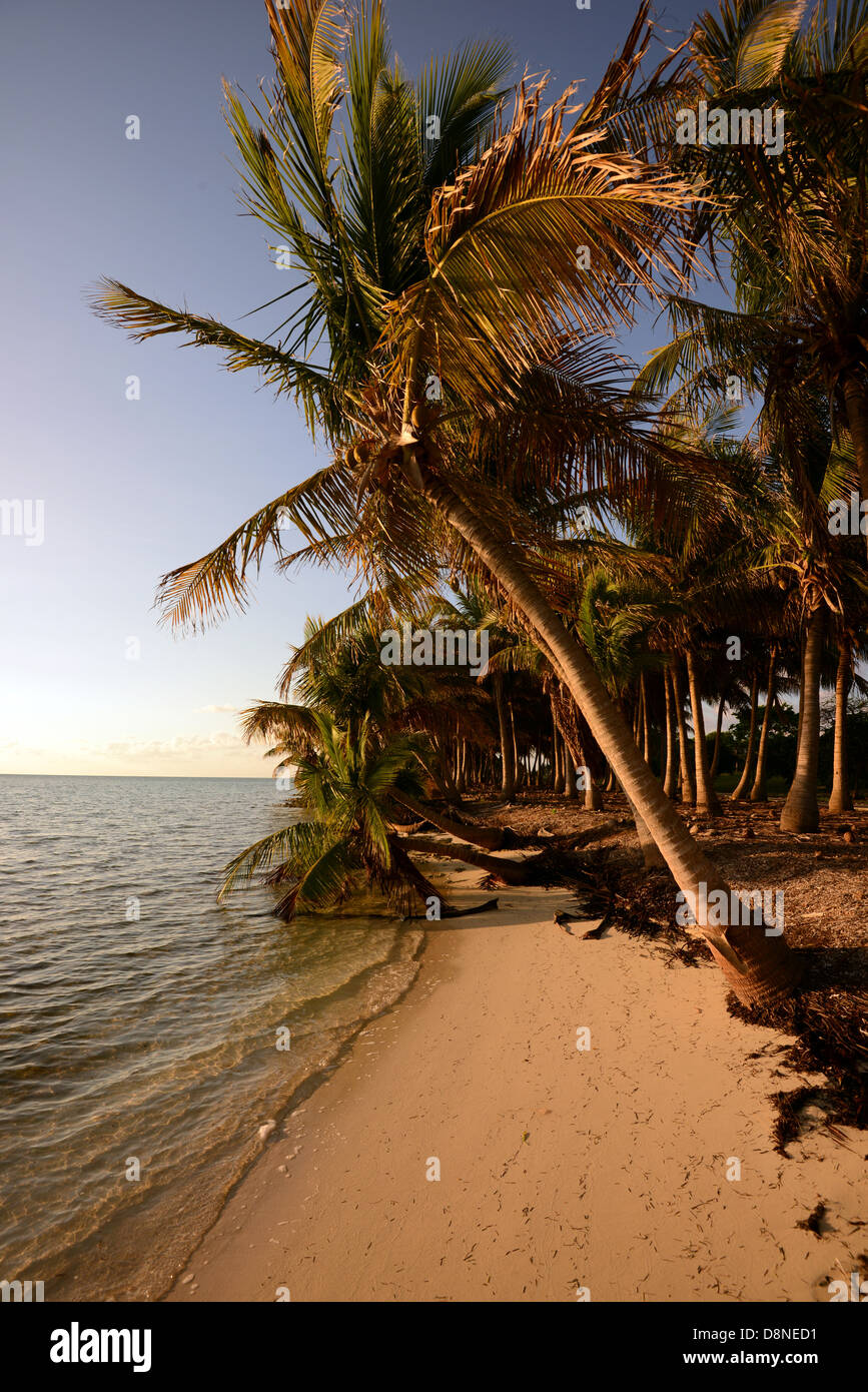 Untouched tropical beach in beautiful Caribbean location Stock Photo ...