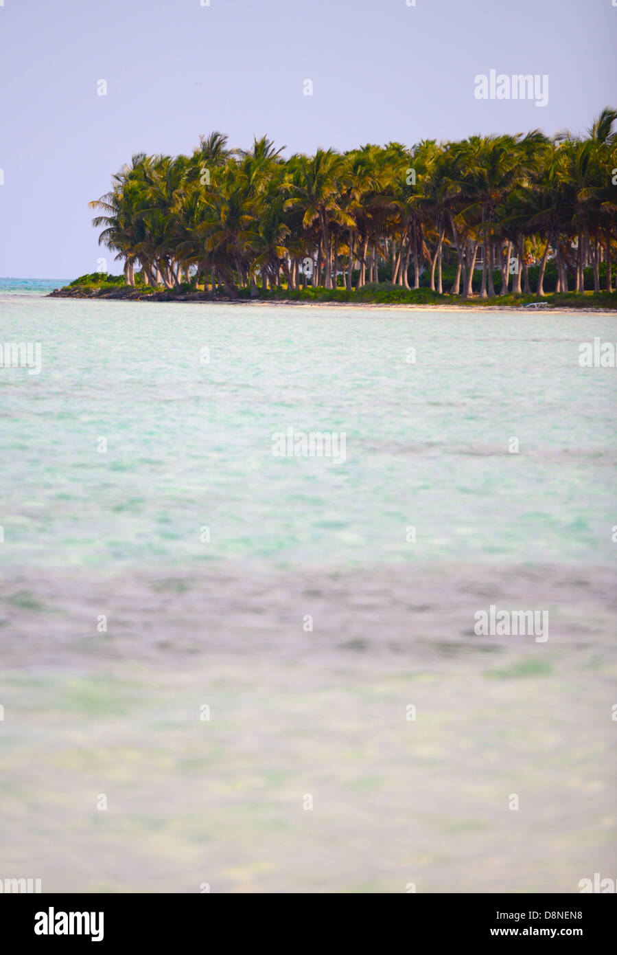 Tropical island in the Bahamas Stock Photo - Alamy