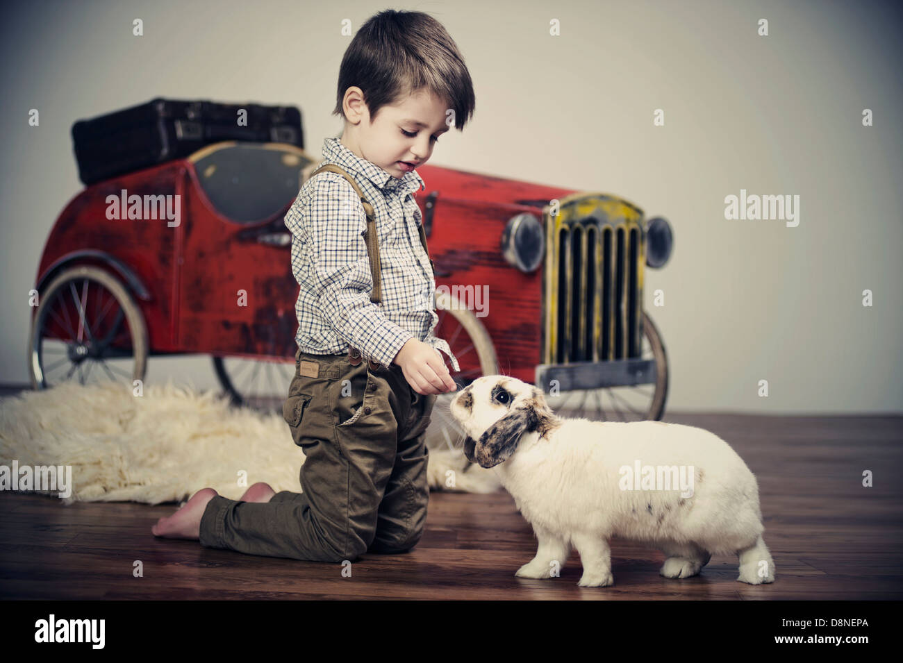 Smiling boy with rabbit Stock Photo - Alamy