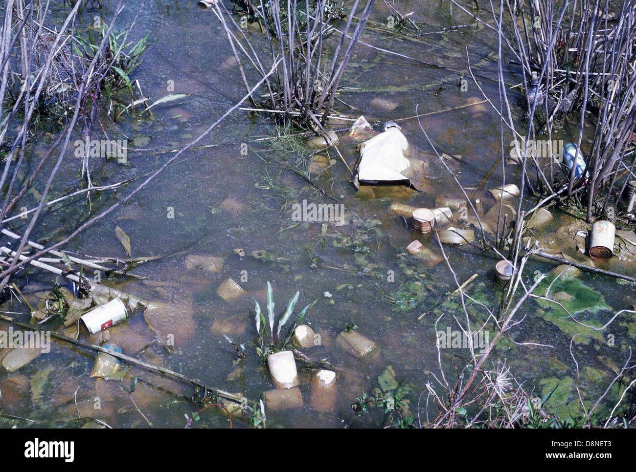 Water pollution affects various habitats, leading to ecosystem ...