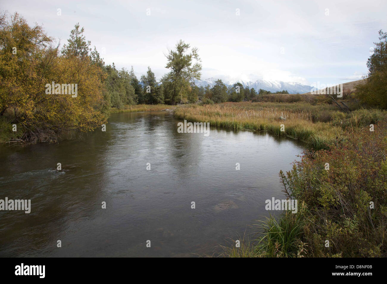 Water source and scenic landscape Stock Photo - Alamy