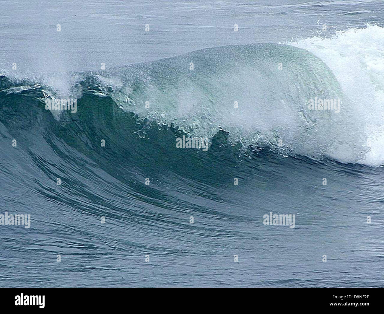 A person surfing on ocean waves, capturing the excitement and motion of ...