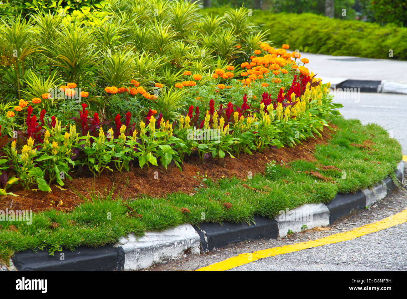 Flower decoration along road curb. Concept of city greenery Stock Photo ...