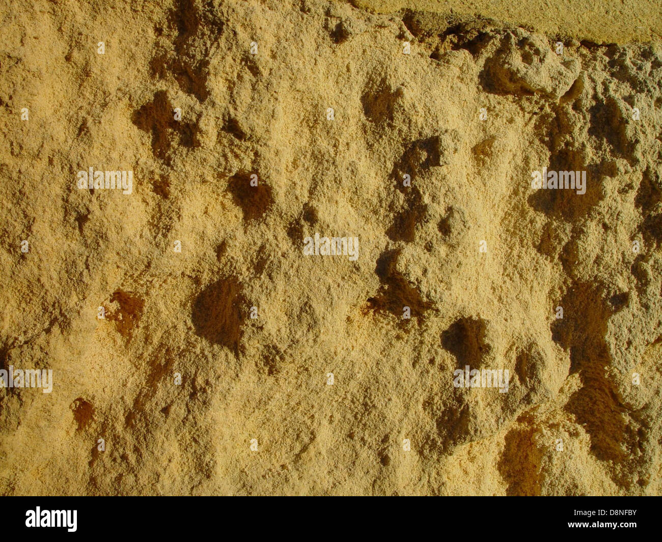 A close-up of weathered limestone showing its textured surface, formed ...