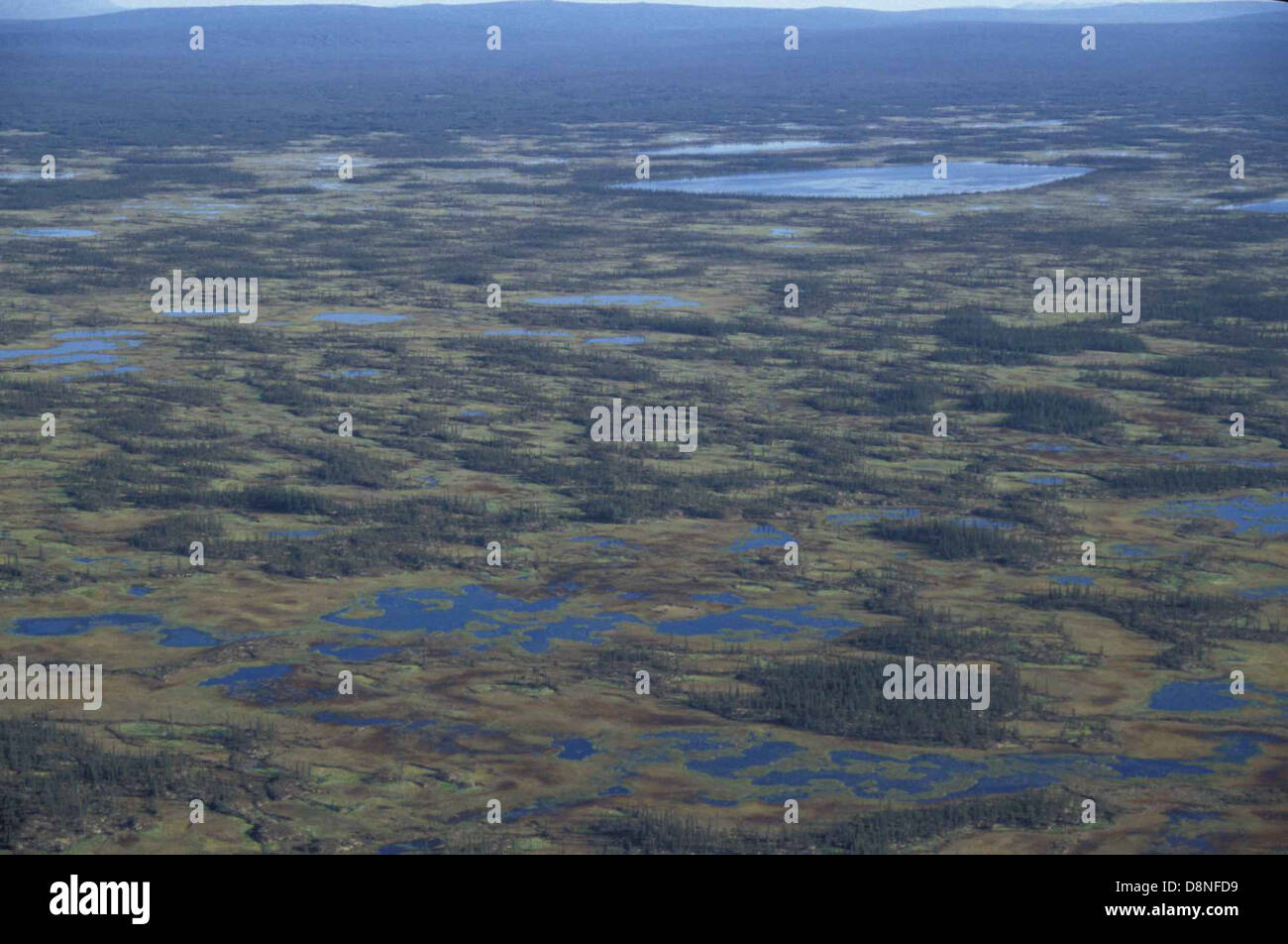 A wetland area with bog lakes is depicted, showcasing the unique ...