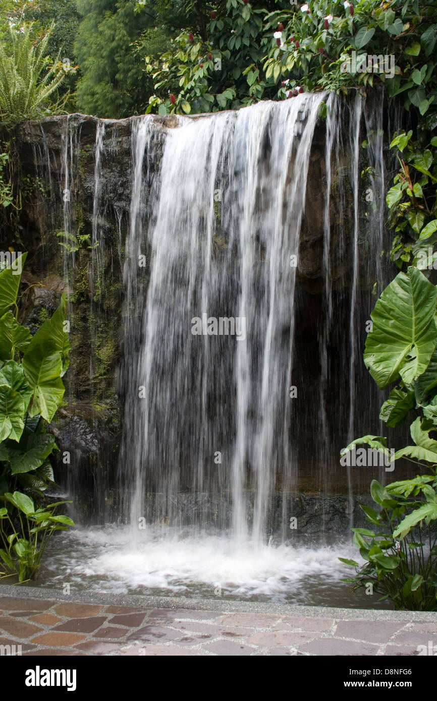 National orchid garden hi-res stock photography and images - Alamy