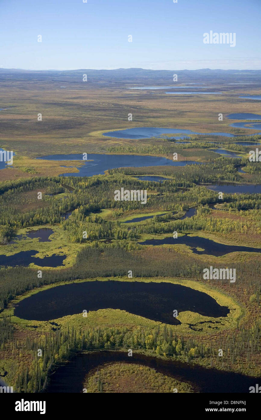 A view of the wetlands along the upper Kanuti River, a key habitat for ...