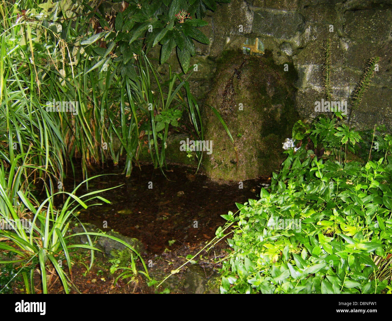 Wetland area featuring water hi-res stock photography and images - Alamy