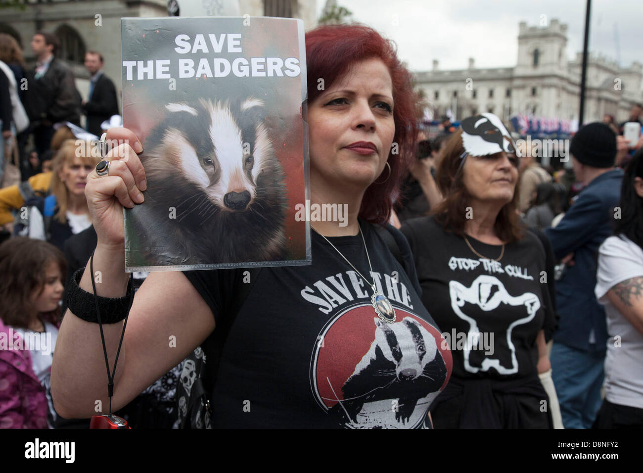 Animal welfare demonstrators in protest in London against the badger ...