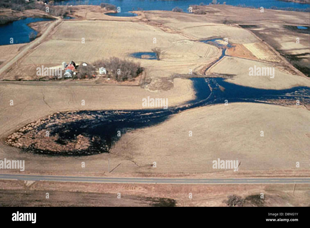 A restored wetland landscape, featuring lush vegetation and water ...