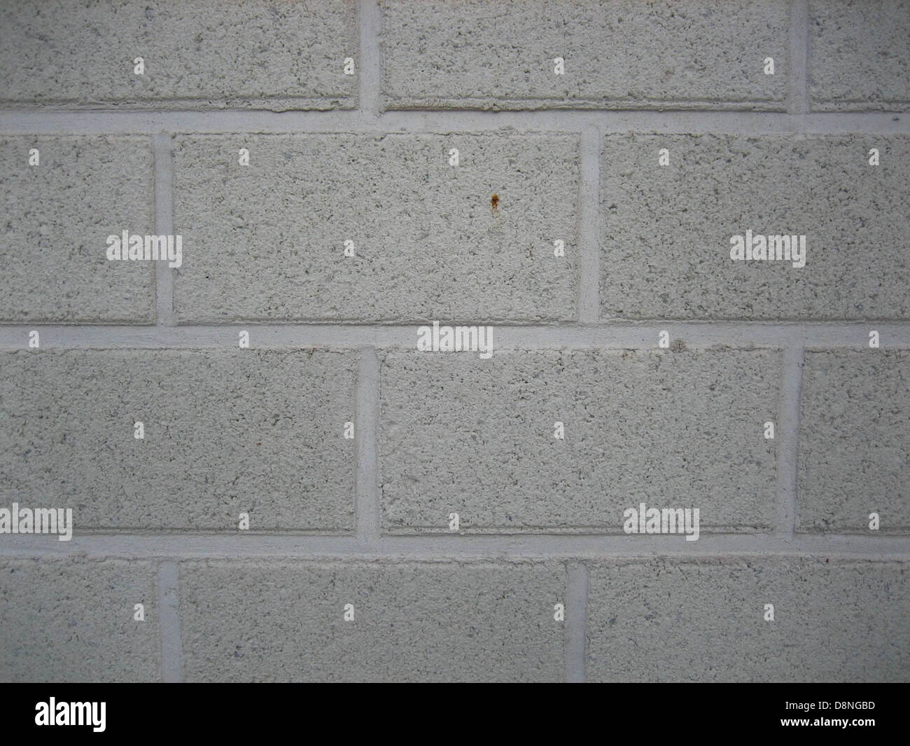 A pattern of white stone bricks arranged in a repeating design ...