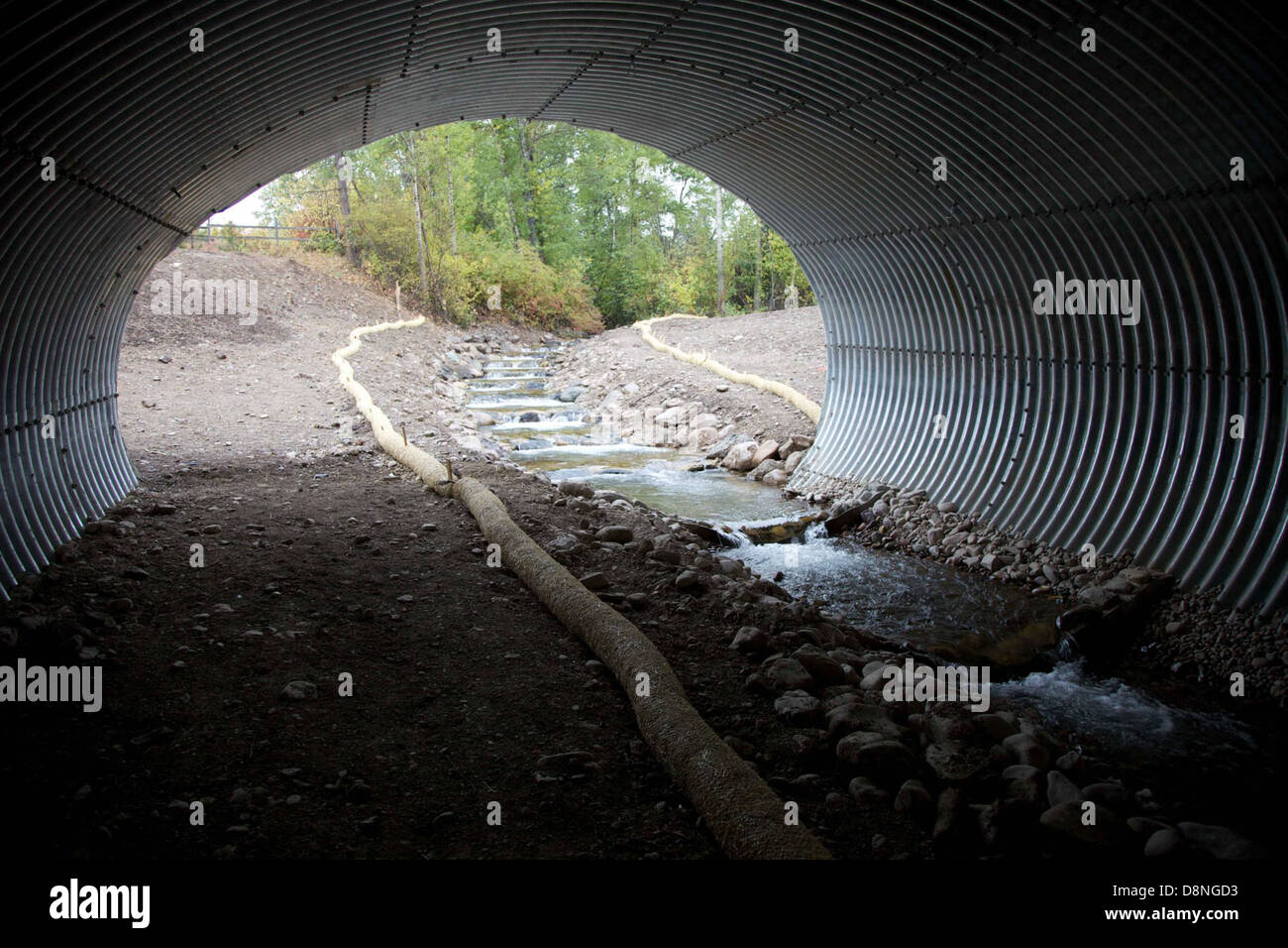 A wildlife crossing built beneath a highway to allow animals to safely ...