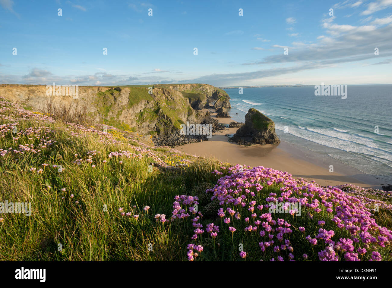 Golden steps bay hi-res stock photography and images - Alamy