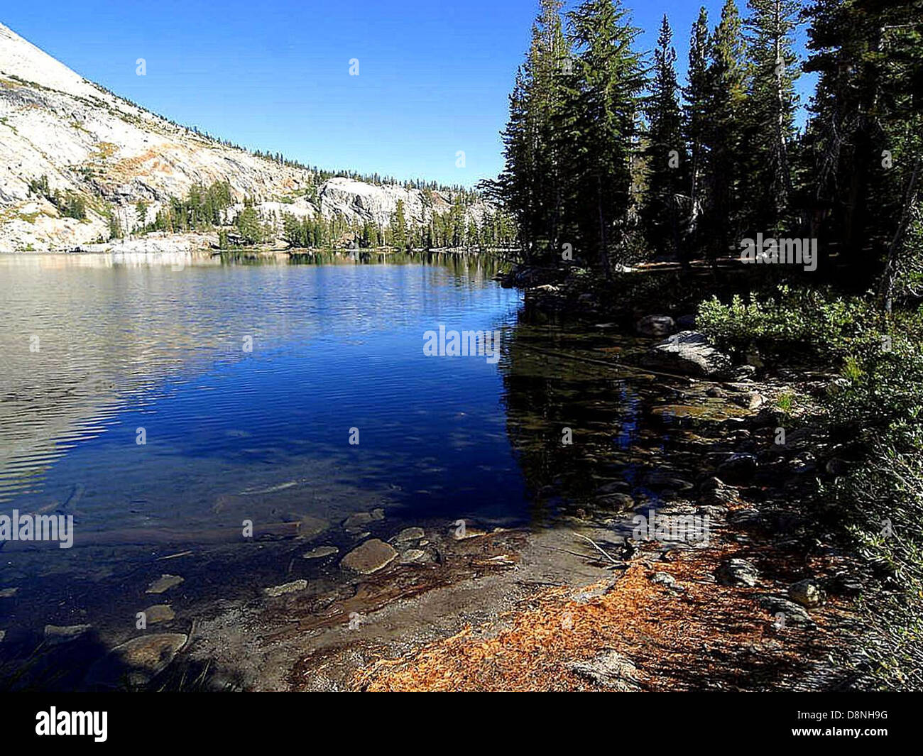 Yosemite may lake Stock Photo - Alamy