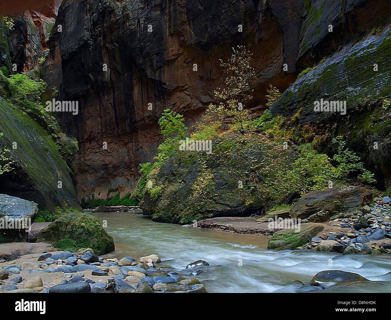 The Zion Narrows in Zion National Park features narrow canyons with ...