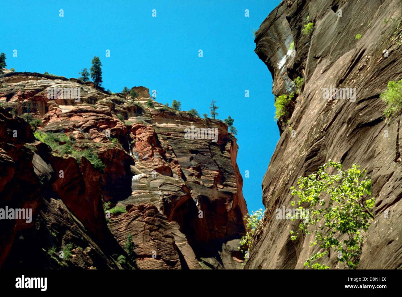 Zion National Park in Utah features dramatic natural rock formations ...
