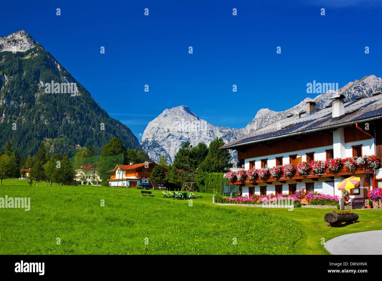 Alps traditional house flowers hi-res stock photography and images - Alamy