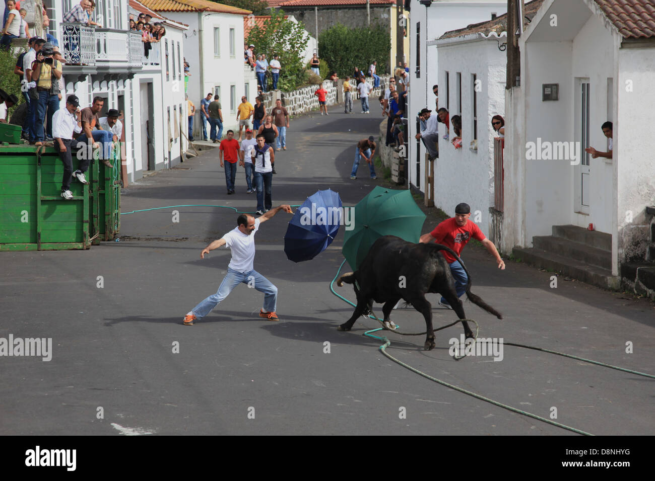 Bullfight at Santo Amaro Parish - São Jorge island - Azores Stock Photo ...