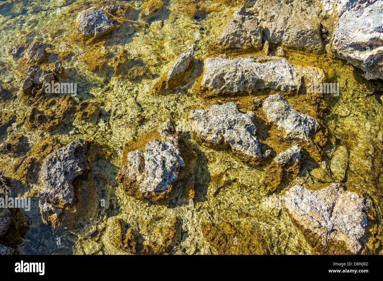 Sea Puddle High Resolution Stock Photography and Images - Alamy