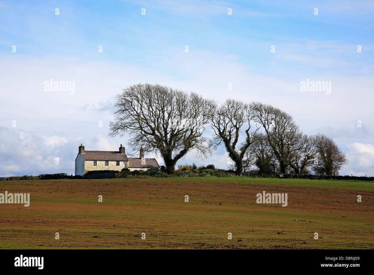 Farmhouse near Llangoed Anglesey Mona North Wales UK United Kingdom EU ...