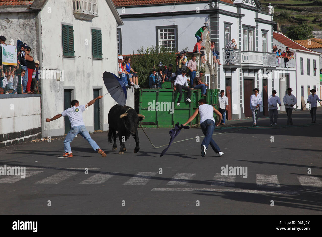 Bullfight at Santo Amaro Parish - São Jorge island - Azores Stock Photo ...