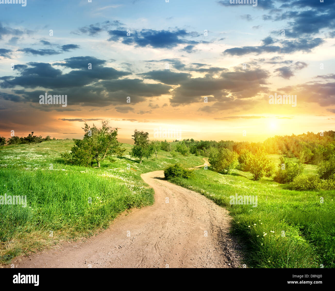 Field with country road in spring hi-res stock photography and images ...
