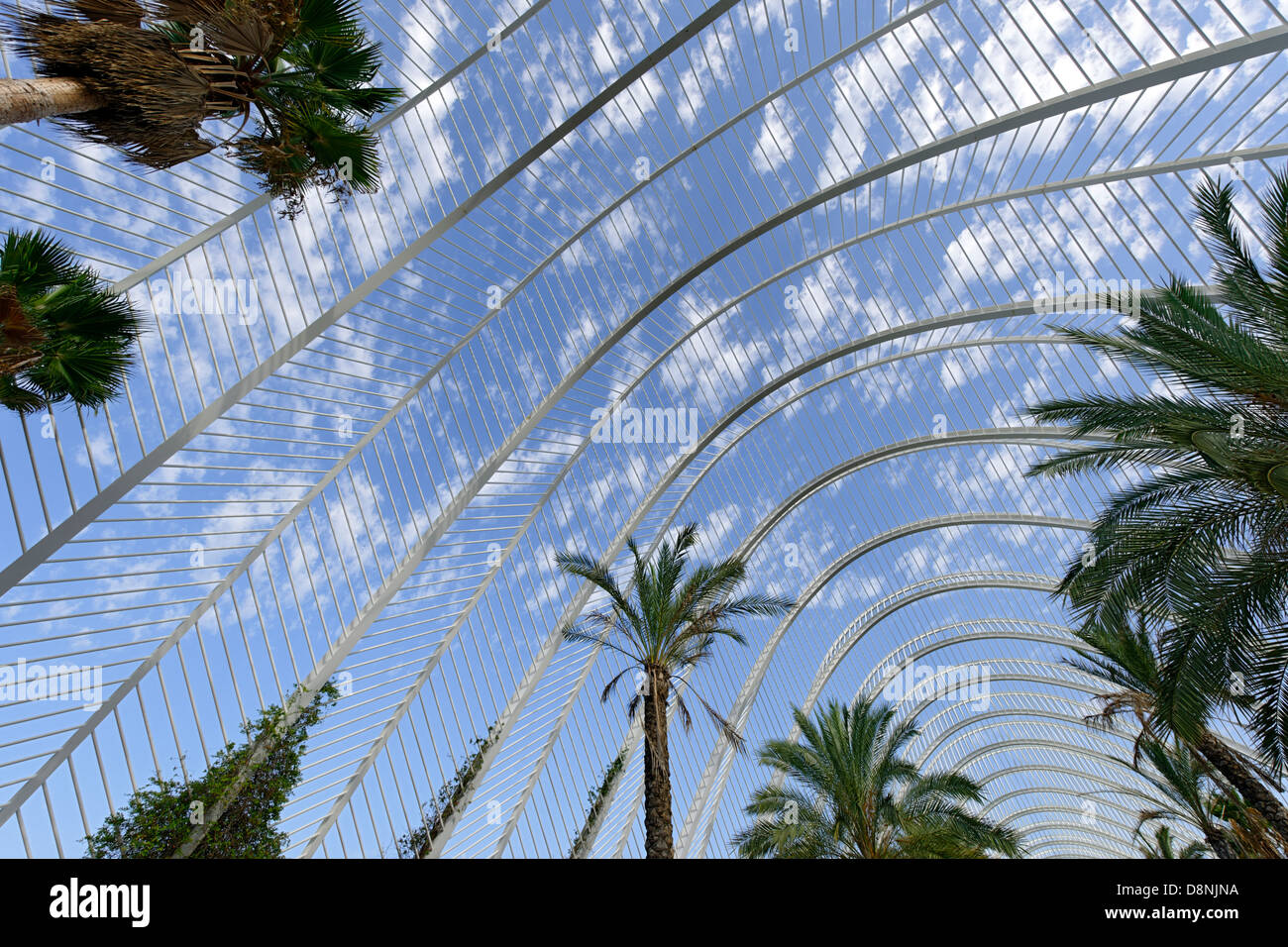 L’umbracle valencia hi-res stock photography and images - Alamy