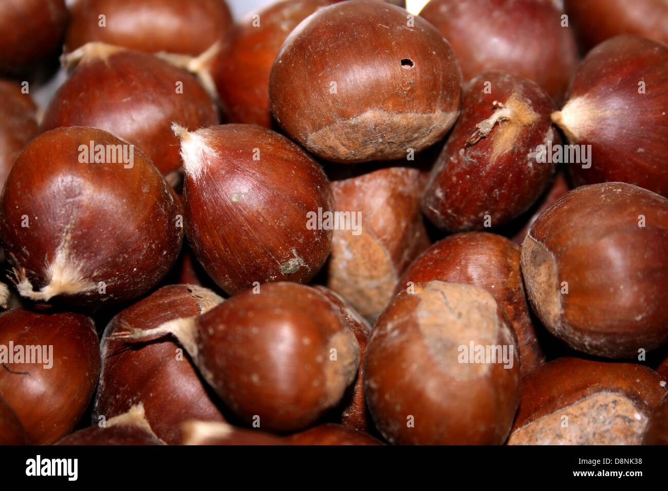 Chest nuts hi-res stock photography and images - Alamy