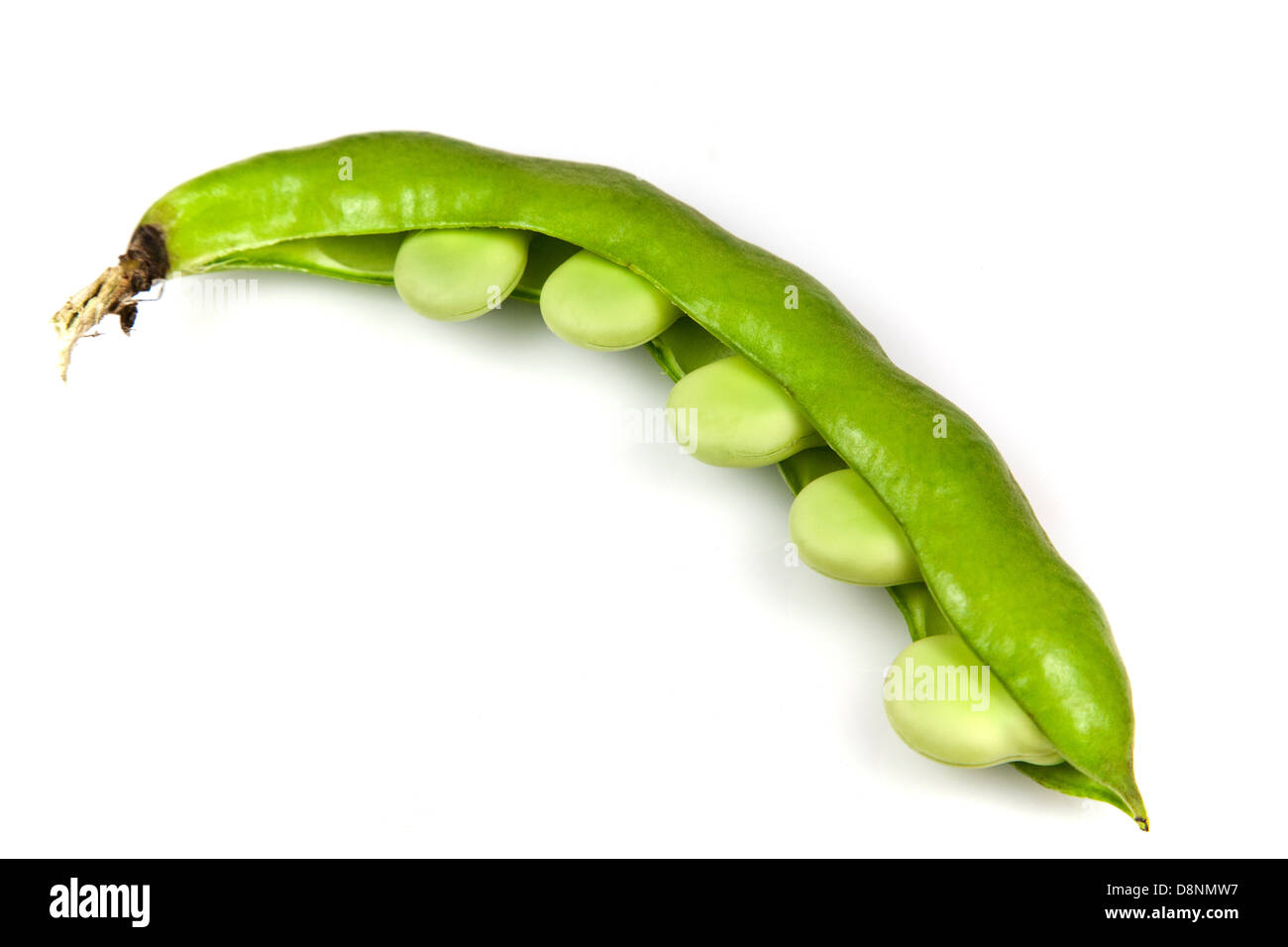 Broad beans hi-res stock photography and images - Alamy