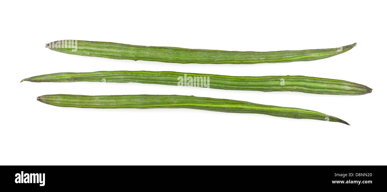 Drumstick Vegetable or Moringa Stock Photo - Alamy