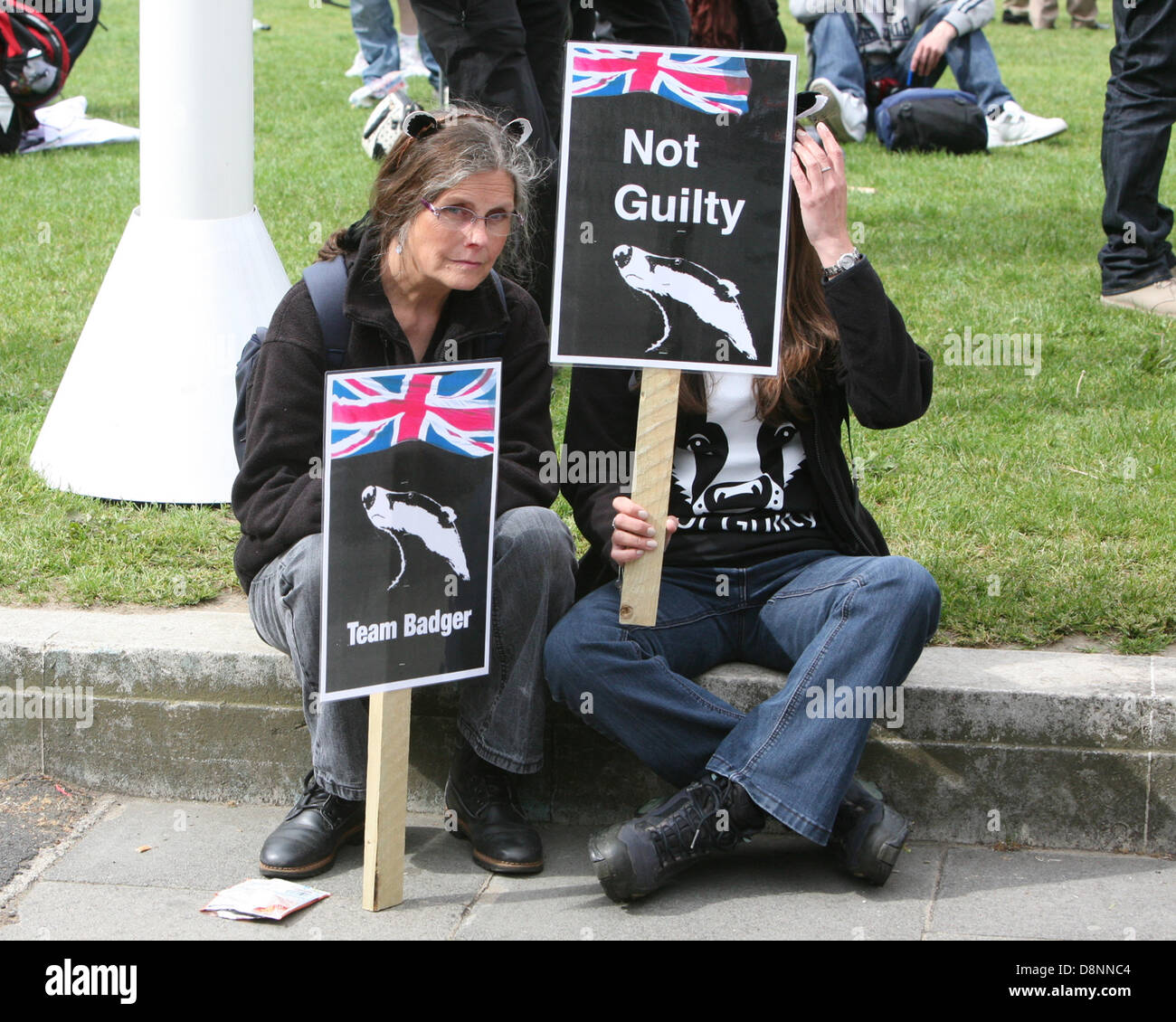 Protest against badger cull banners hi-res stock photography and images ...
