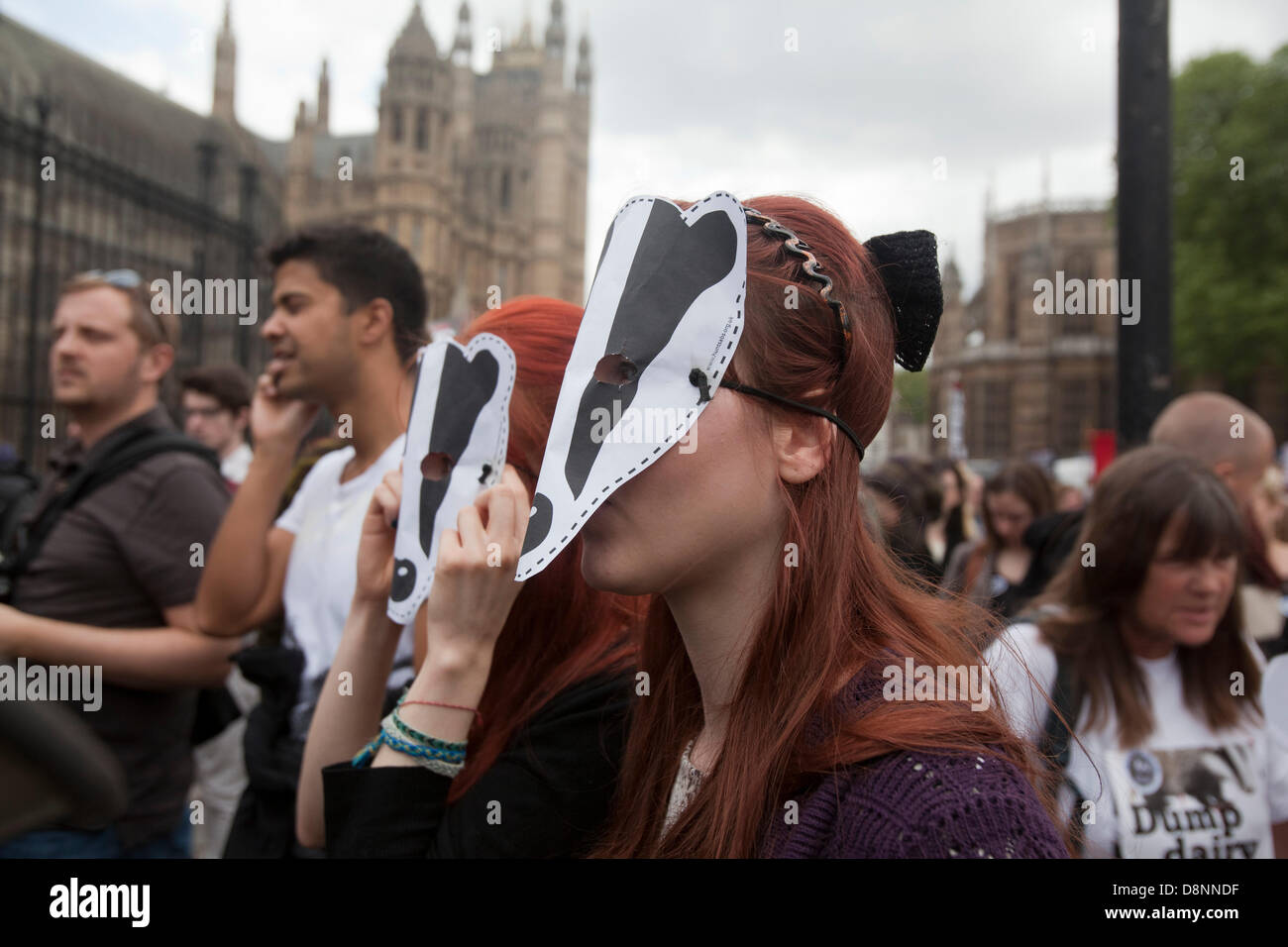 London, UK. 1st June, 2013. Rally at Westminster against the BNP ...