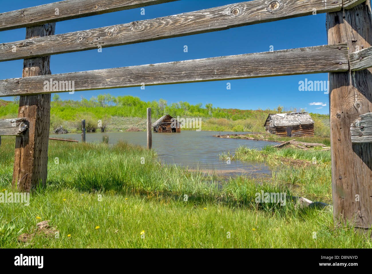 Farm barn filled with water and flooded Stock Photo - Alamy