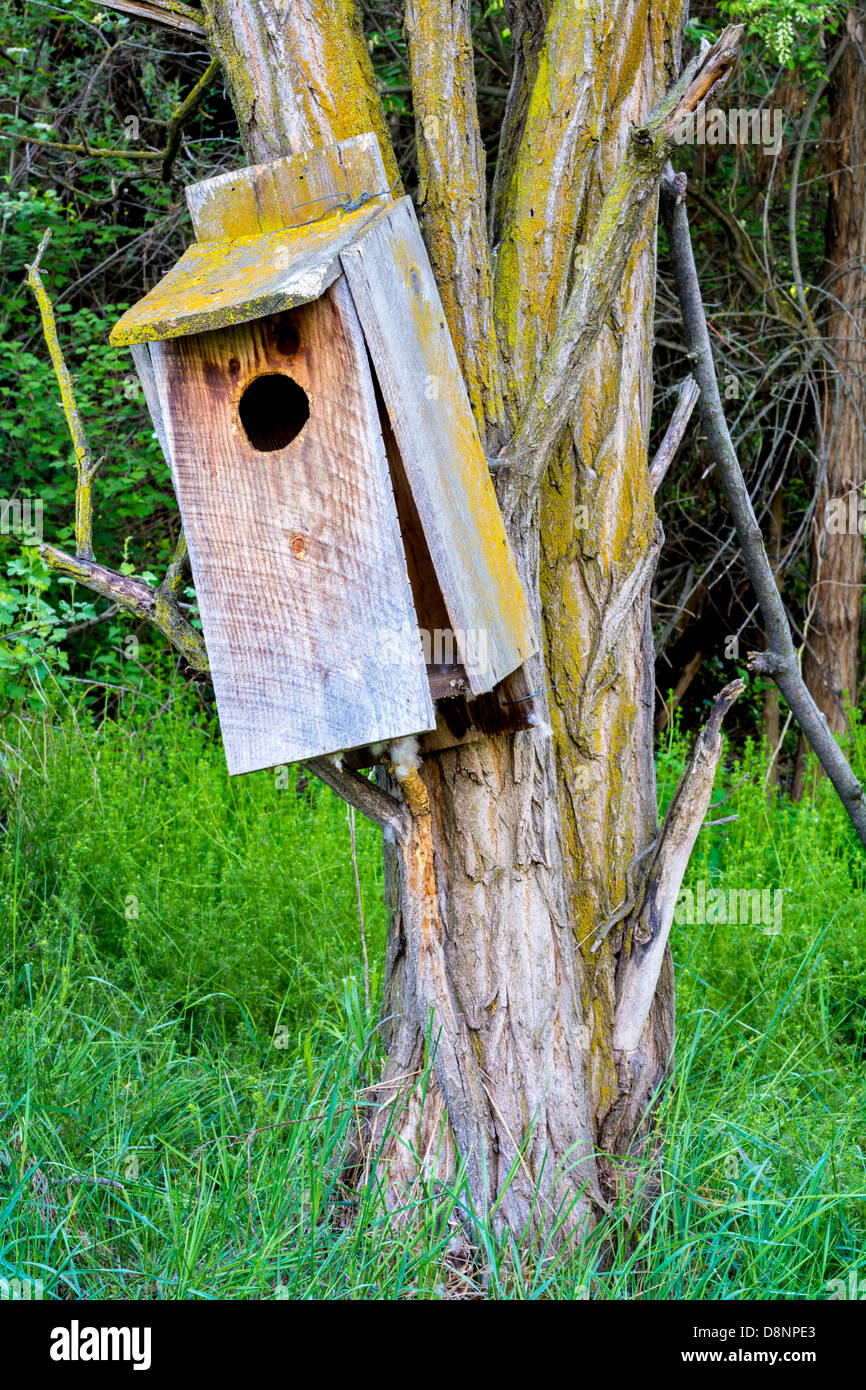 Old antique wooden bird house Stock Photo - Alamy