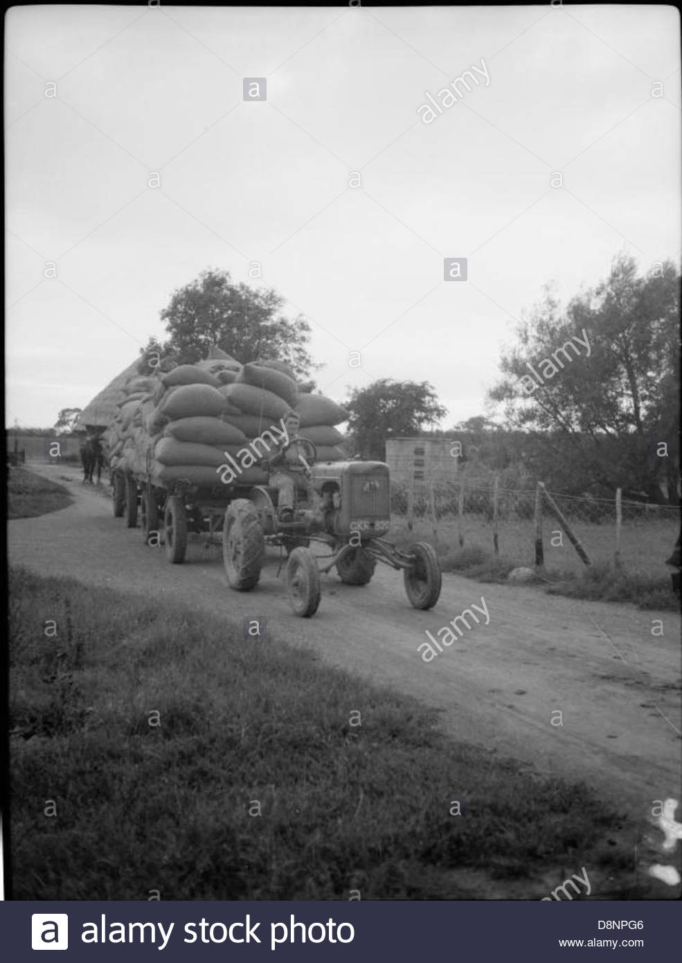Hop Picking Kent England Hop Stock Photos & Hop Picking Kent England ...