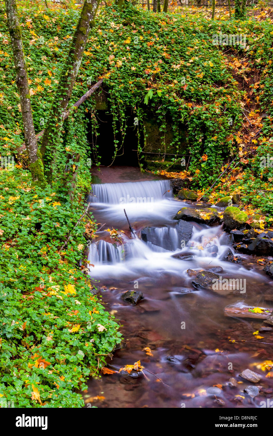 Stream flows hi-res stock photography and images - Alamy