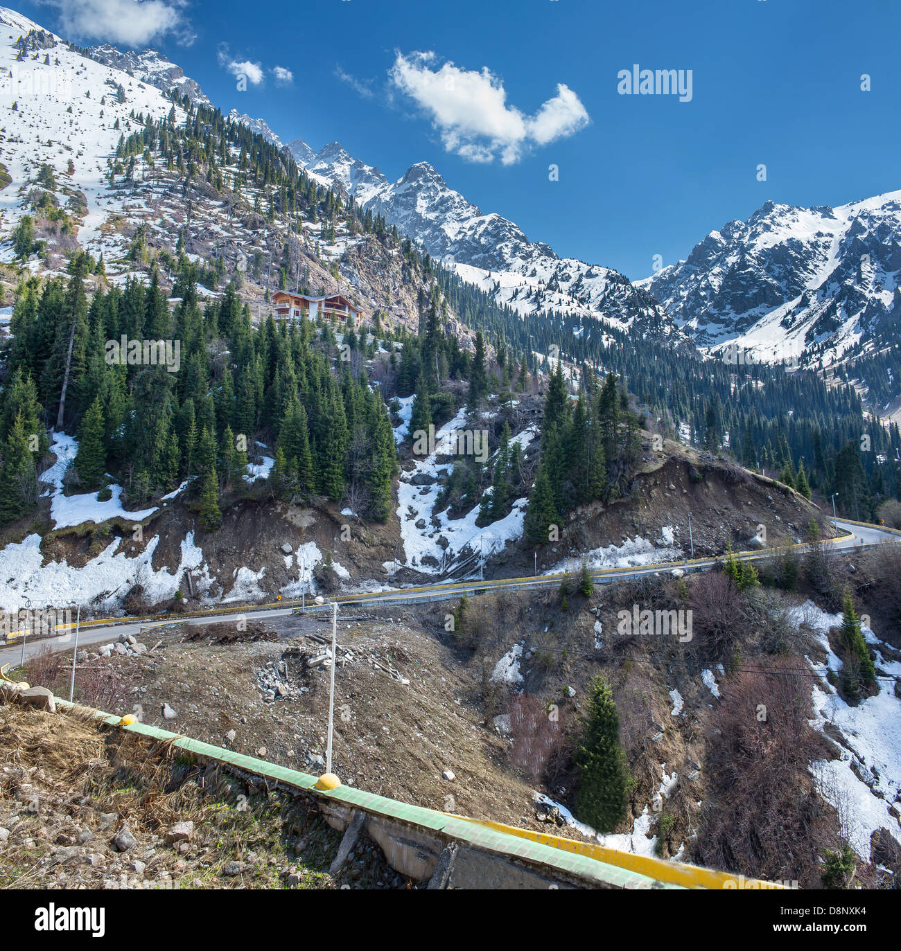 Panorama of nature: fir and green mountains, snow and blue sky in ...