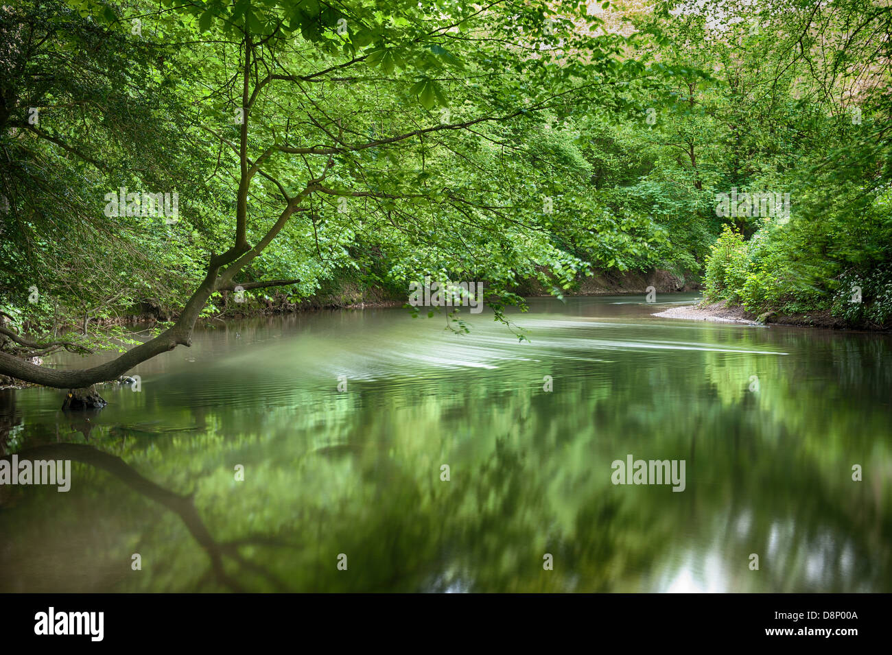 fresh water flowing river mole a hidden peaceful tranquil setting lush ...