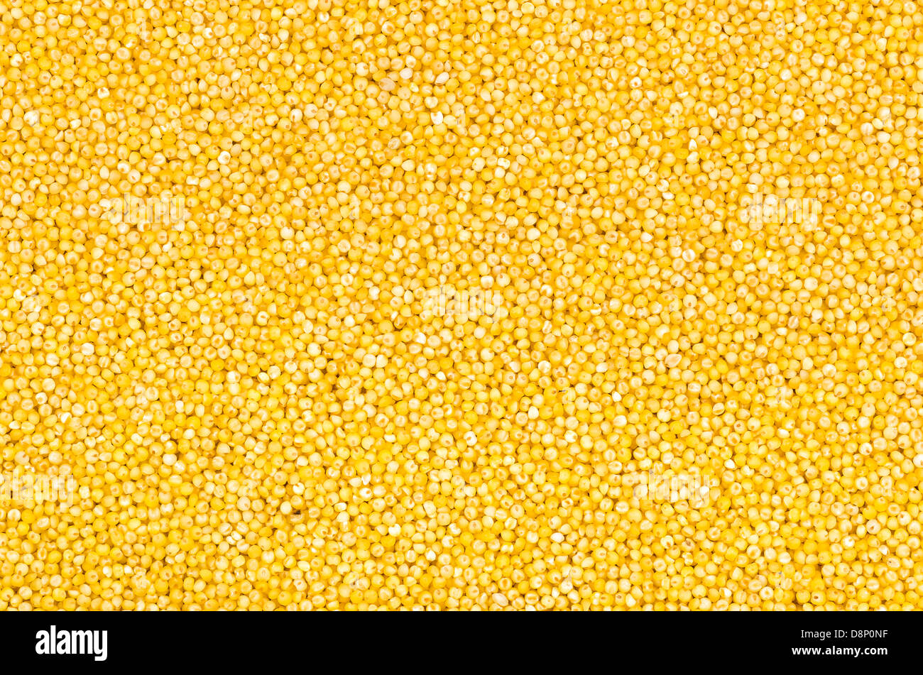Closeup millet texture Stock Photo - Alamy