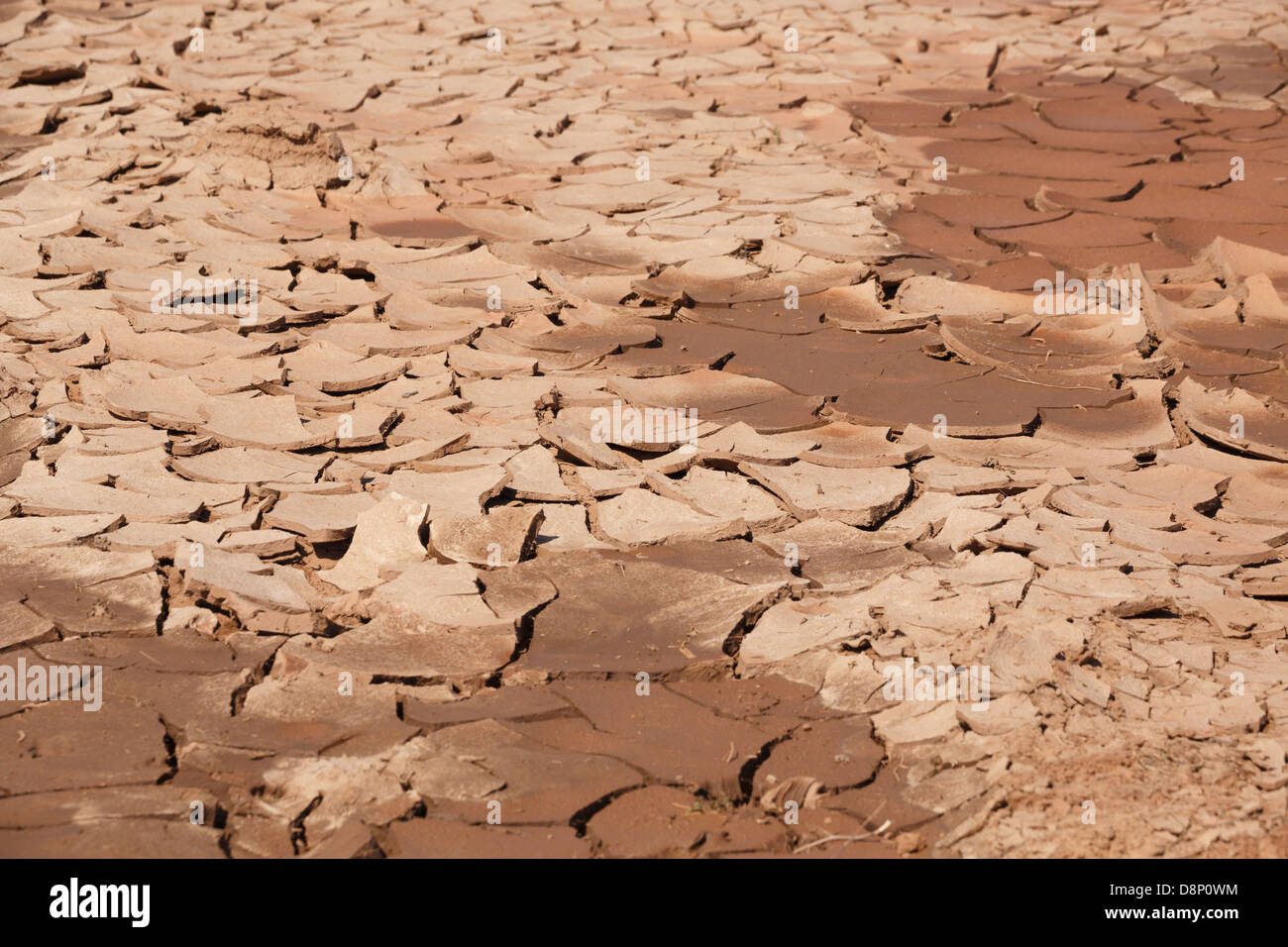 Soil ecology hi-res stock photography and images - Alamy
