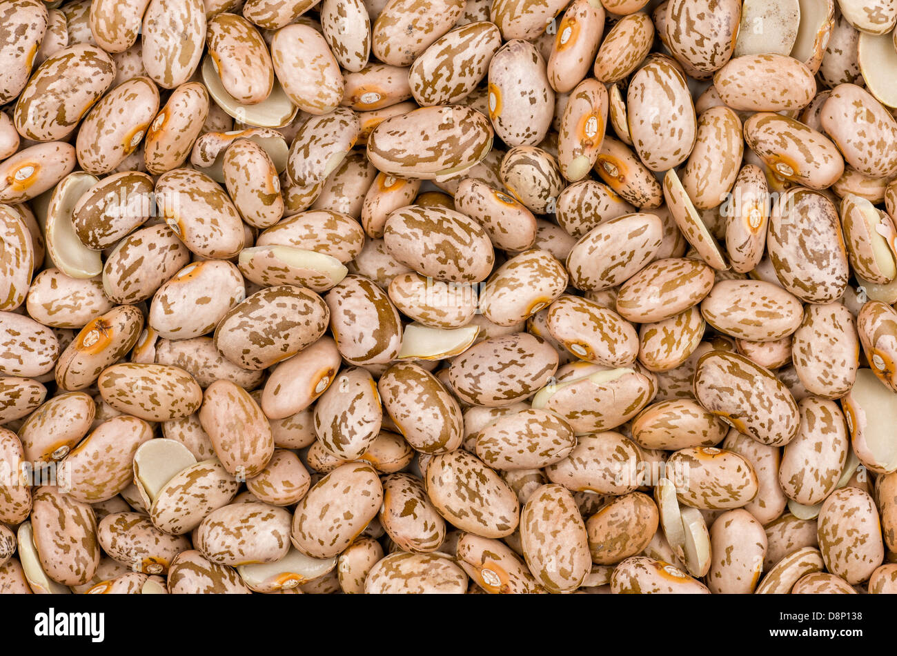 Closeup pinto beans texture Stock Photo - Alamy